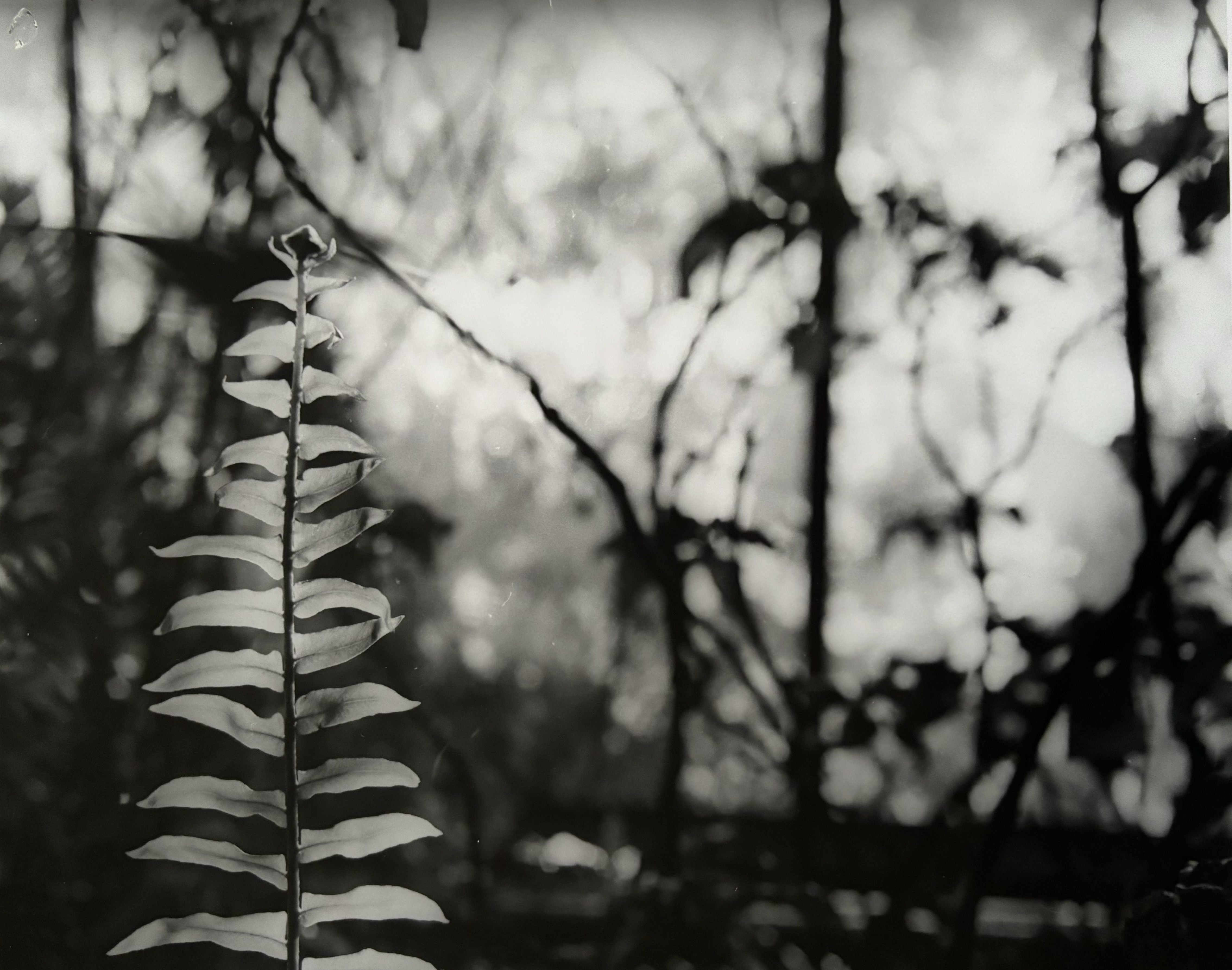 About – Kit Martin Photography
